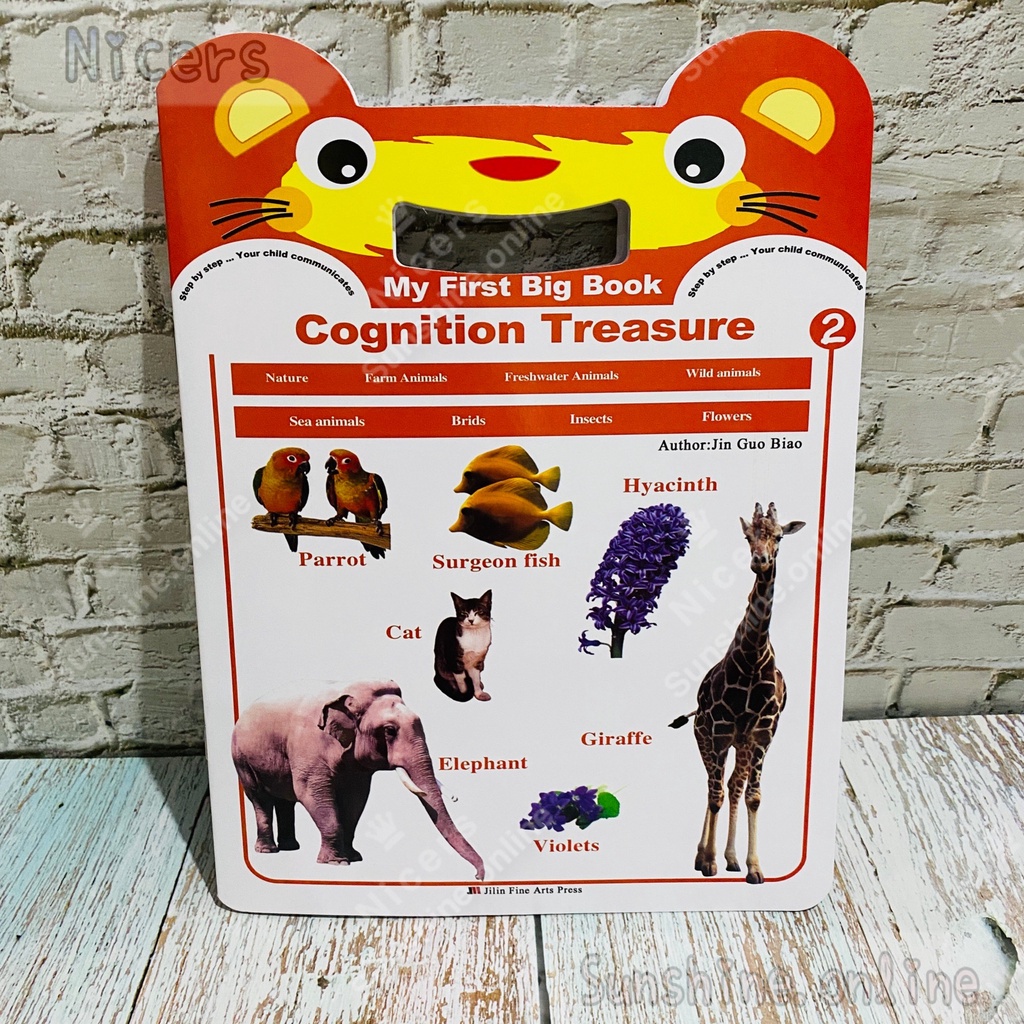 My First Big Book Cognition Treasure Kids Early Educational Books ...