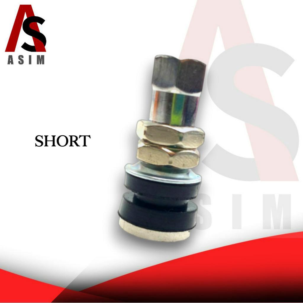 ASIM Motorcycle Stainless Pito for Tubeless / Tire Valve (HEAVY DUTY ...