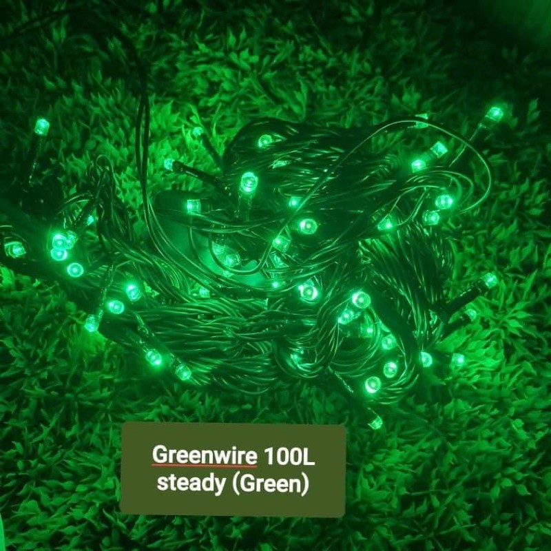 LED 100L Christmas Lights Green Wire Mabuhay Star (STEADY & BLINKER ...