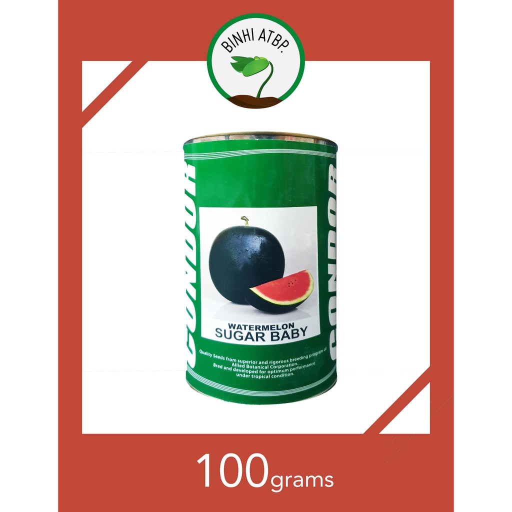 Condor Sugar Baby Watermelon Seeds (100 Gr Can) | Shopee Philippines