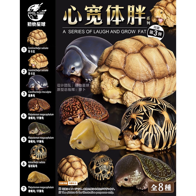 Animal Planet Heart Wide Body Fat Turtle Series Second Bomb Beak Turtle ...