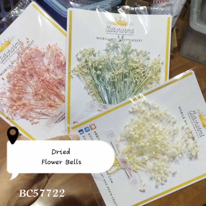 Dried Flower Bells | Dried Gypsophila Buds | Resin jewelry flower craft ...