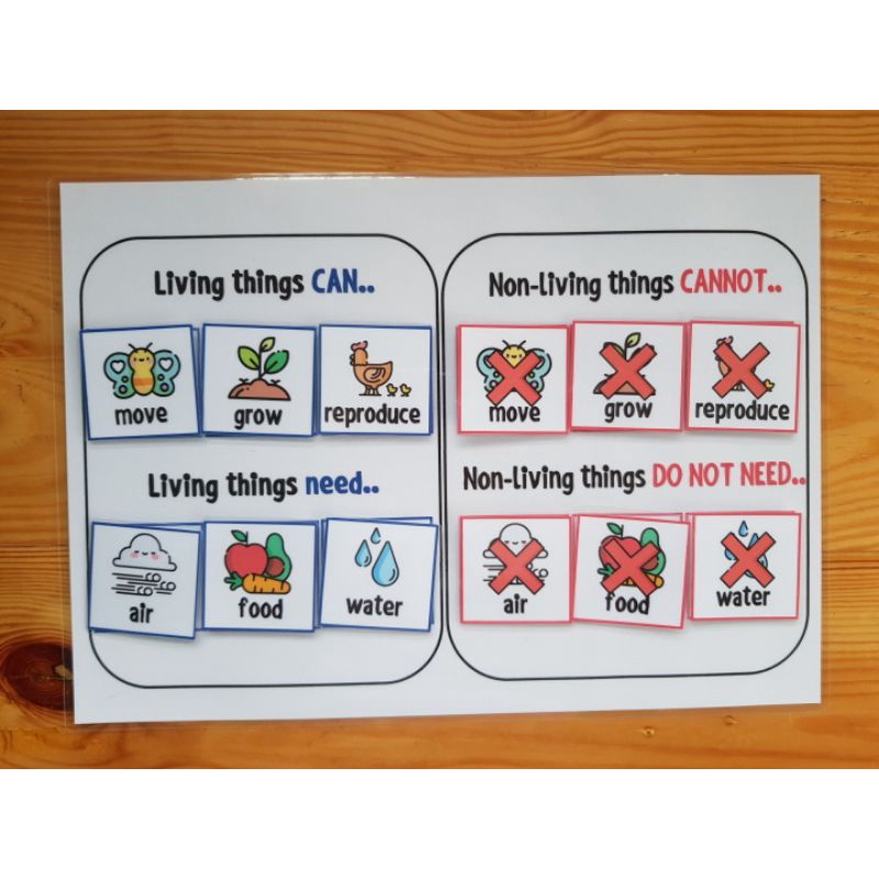 SCIENCE LIVING AND NON-LIVING THINGS CHARACTERISTICS LAMINATED LEARNING ...