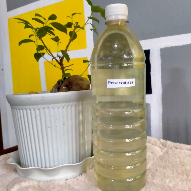 PRESERVATIVES for dishwashing liquid 1liter | Shopee Philippines