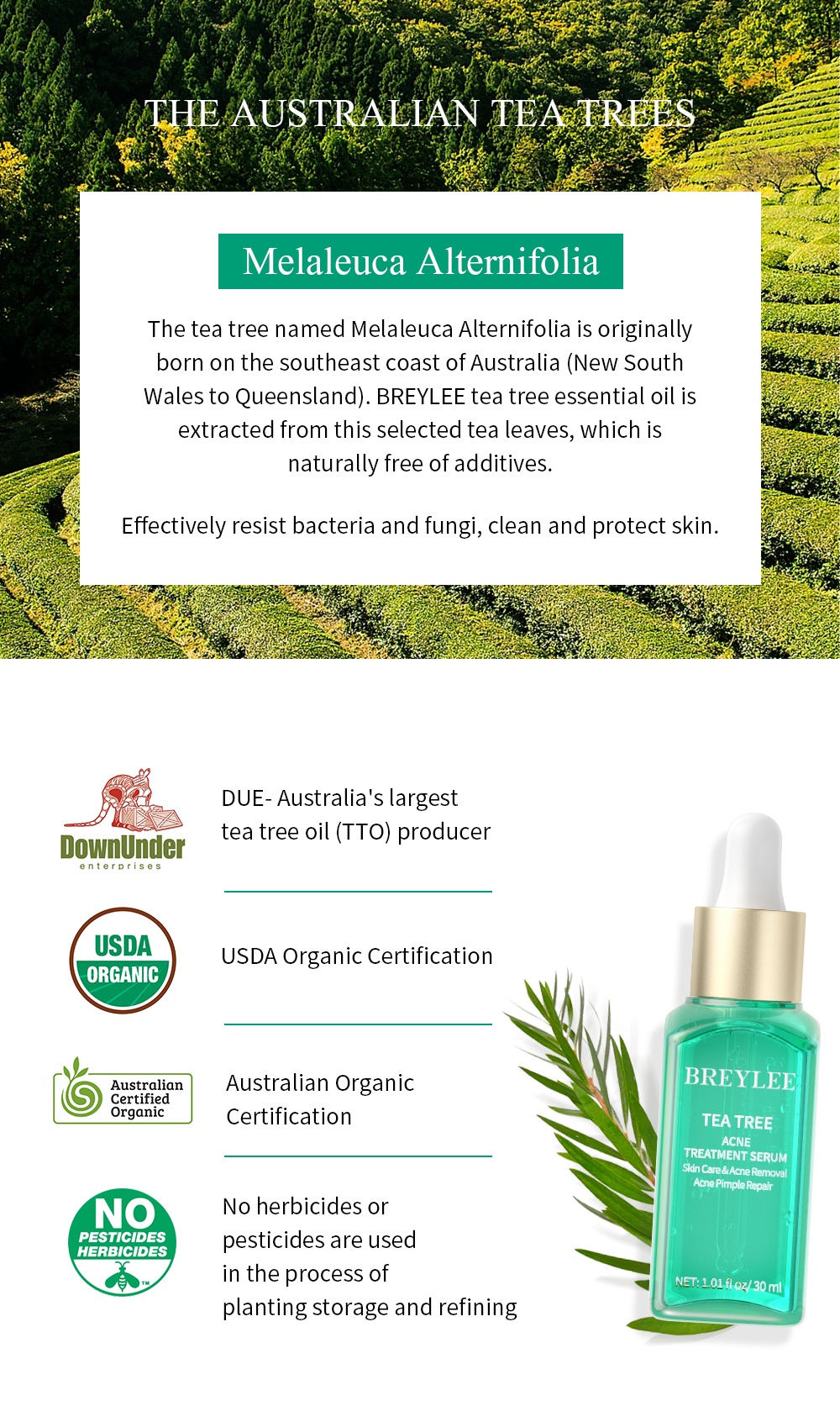 BREYLEE Tea Tree Acne Removal Serum Kit | Shopee Philippines