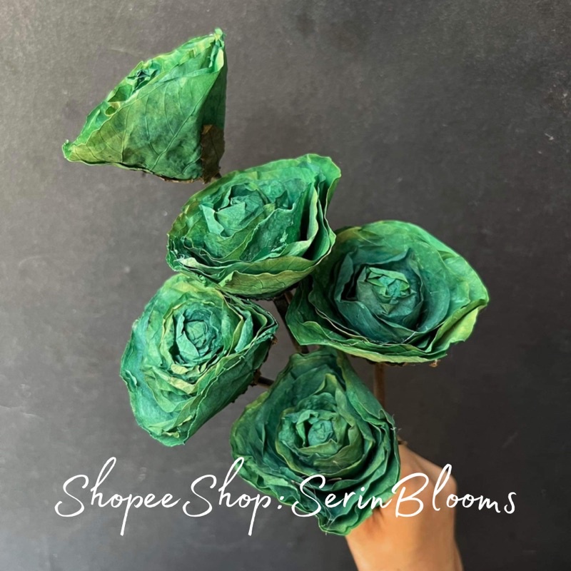 Fossilized Rose(1 stem only) | Shopee Philippines