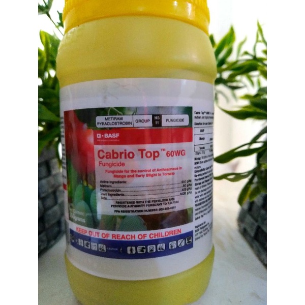 Cabrio Top 60wg Fungicide 150gms Shopee Philippines
