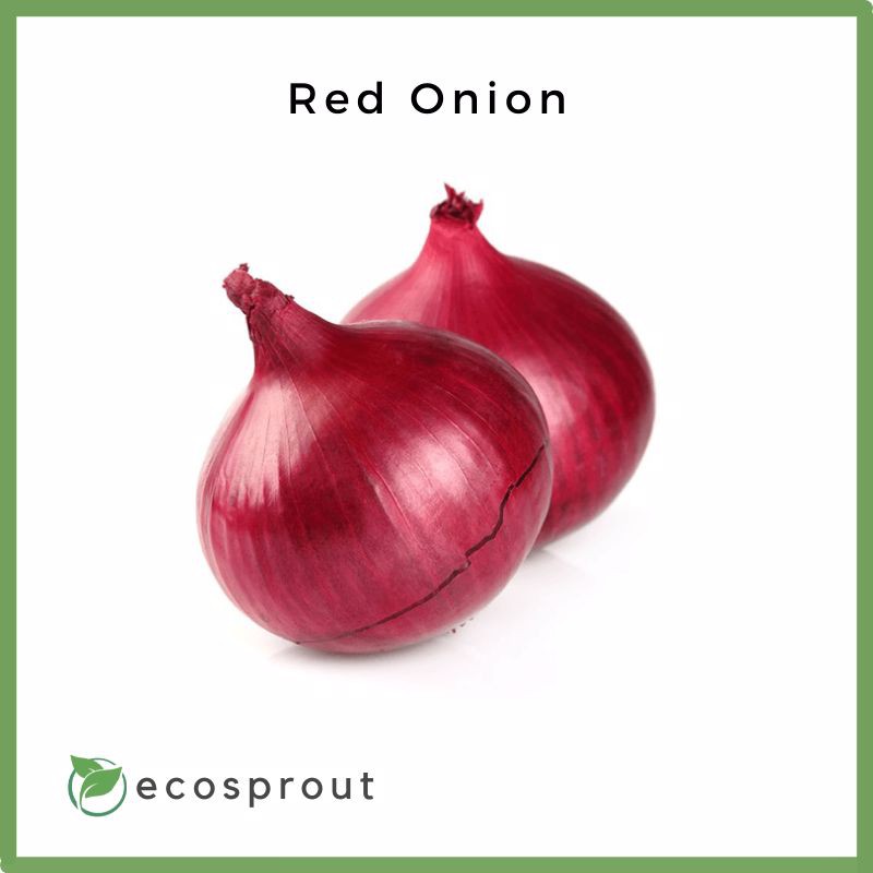 Fresh Red Onion | From 250g | Fresh Vegetables | Fresh Fruits ...
