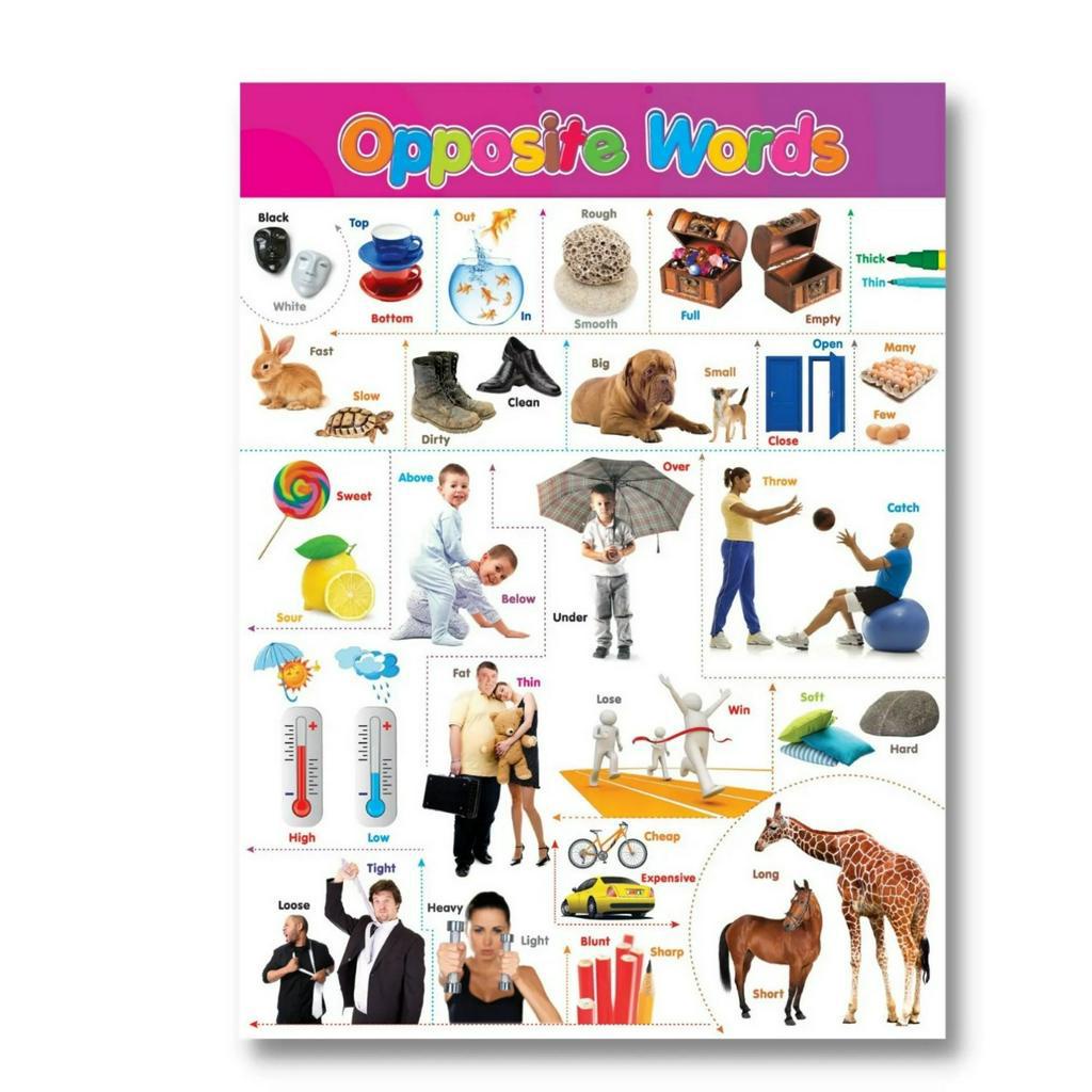 Laminated Opposites Charts, Educational Charts, Antonyms Charts for ...