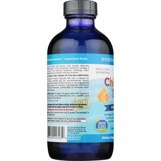 Nordic Naturals Children's DHA Liquid Omega-3 DHA Fish Oil Supplement ...