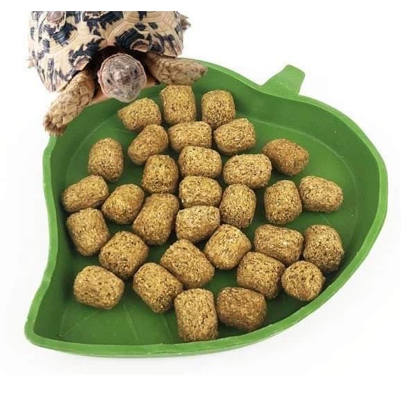 Leaf Shape Food And Water Tray For Land Turtles In Thailand fooddish ...