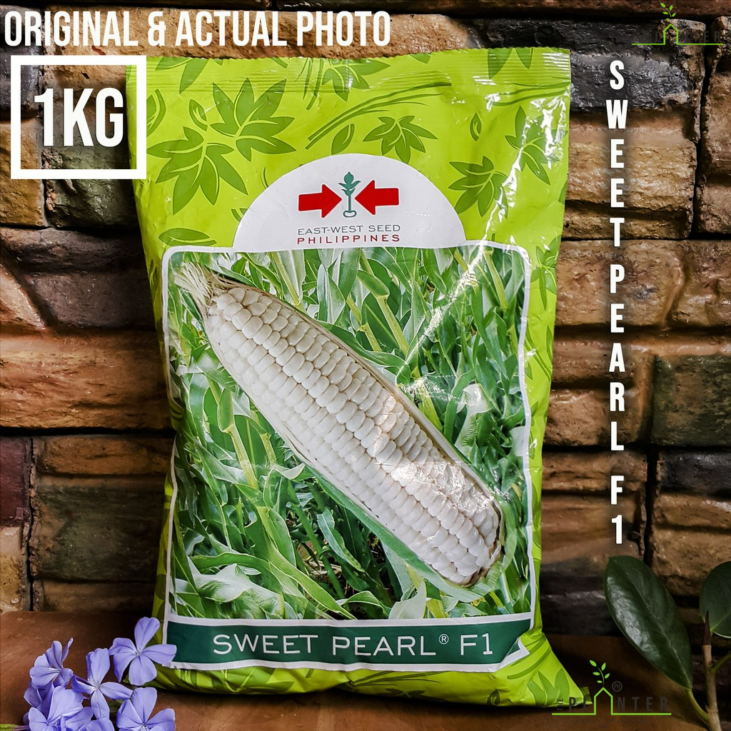 SWEET PEARL F1 (1KG) / CORN - EAST - WEST SEED (Original) | Shopee Philippines
