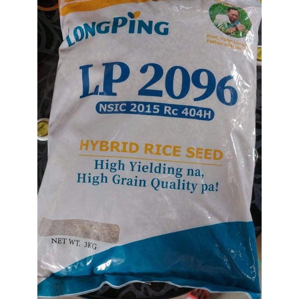 LONGPING 2096 HYBRID RICE SEEDS 3KILOS | Shopee Philippines