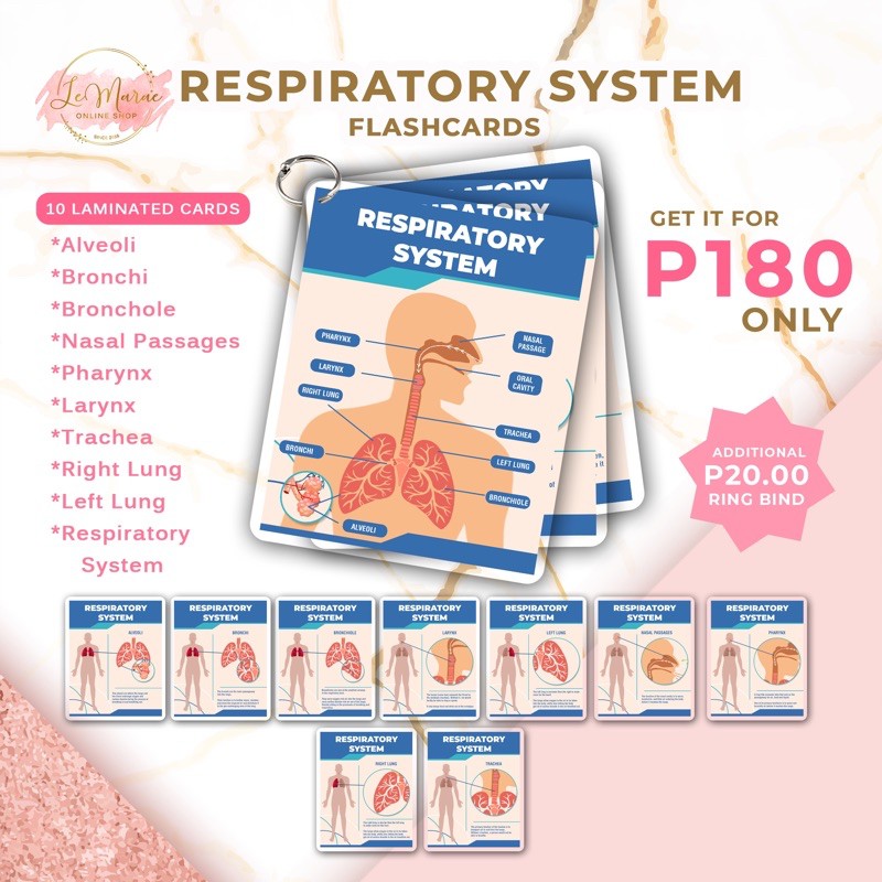 Le Marae Shop - Laminated Flashcards RESPIRATORY SYSTEM | Shopee Philippines
