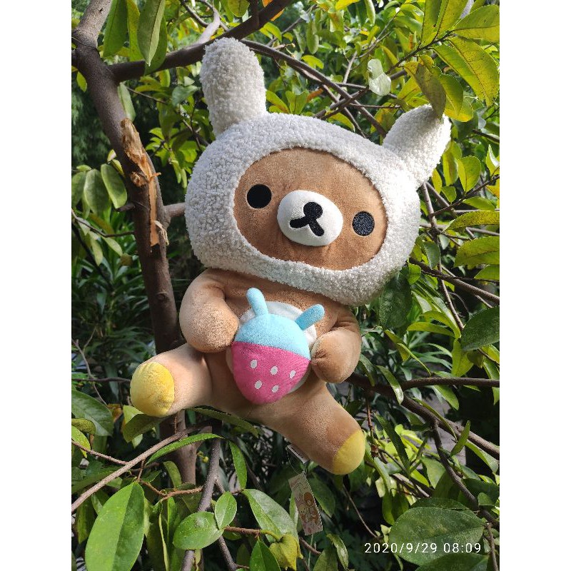 Rilakkuma kori kiroi sumikko | Shopee Philippines