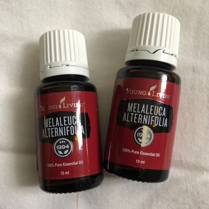 Young Living Tea Tree Melaleuca Alternifolia Essential Oil 100% ...