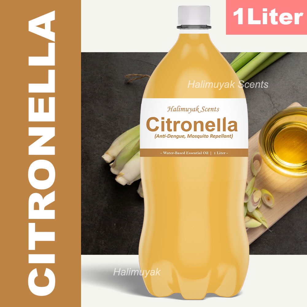Halimuyak Premium CITRONELLA Scent for Humidifier Diffuser Fragrance ...