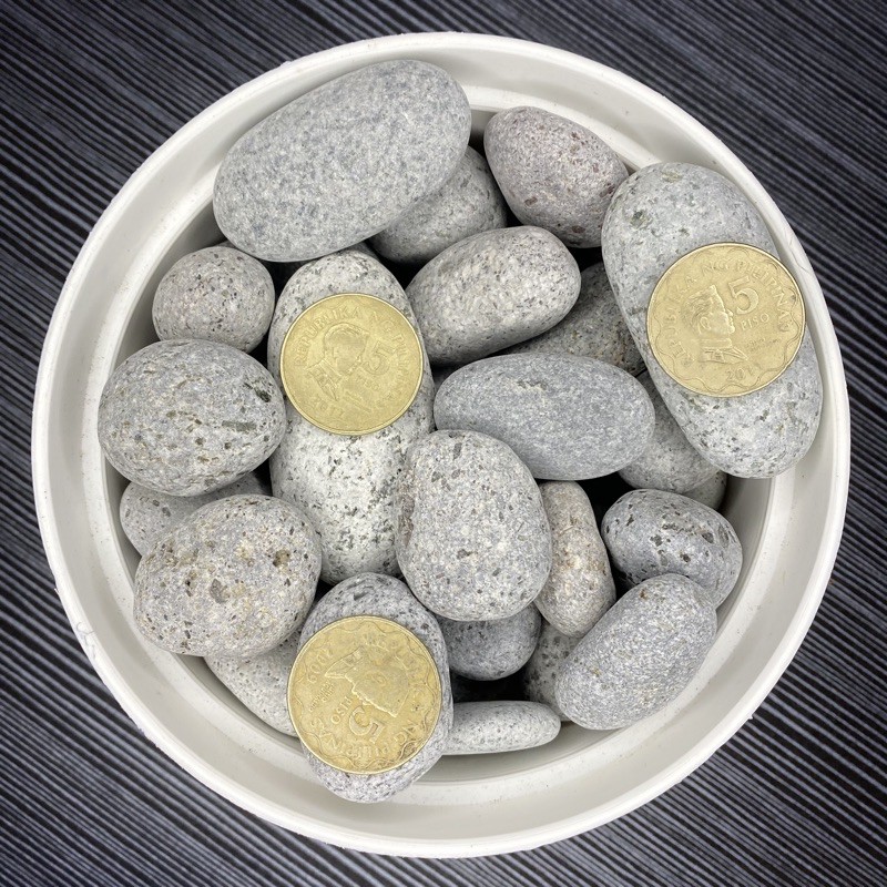 Pebbles Plants/Aquarium - Assorted, Black, Boracay, White Selected ...