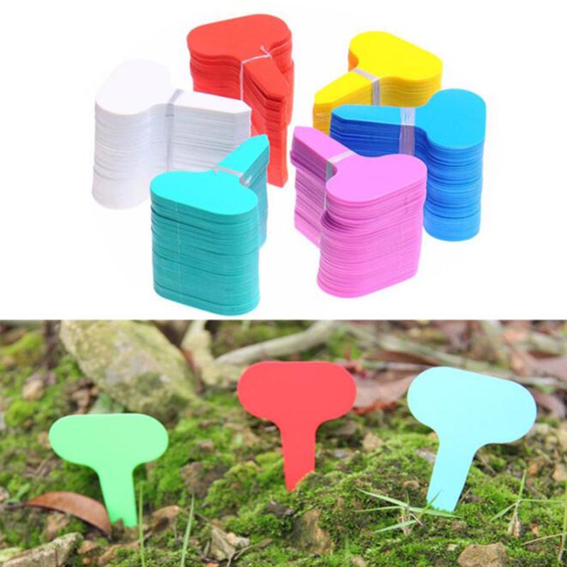 100pcs Colorful Plant Labels Garden Tools Vegetable Tags Sign PVC ...