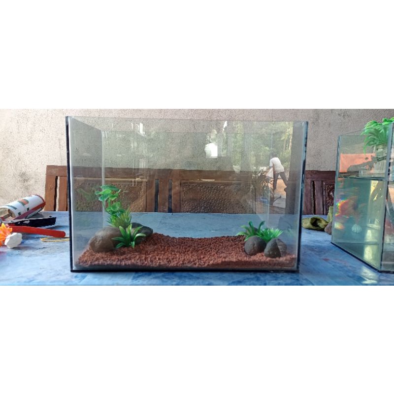 Aquarium size 30x15x20 cm aquarium channa aquarium chana aquarium Fish ...