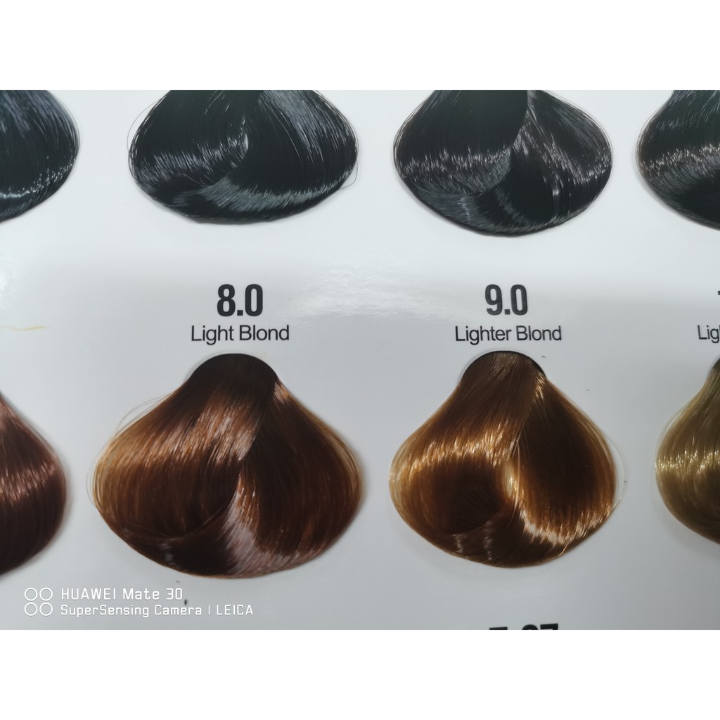 Sunbright Series Hair Color cream 100ml | Shopee Philippines