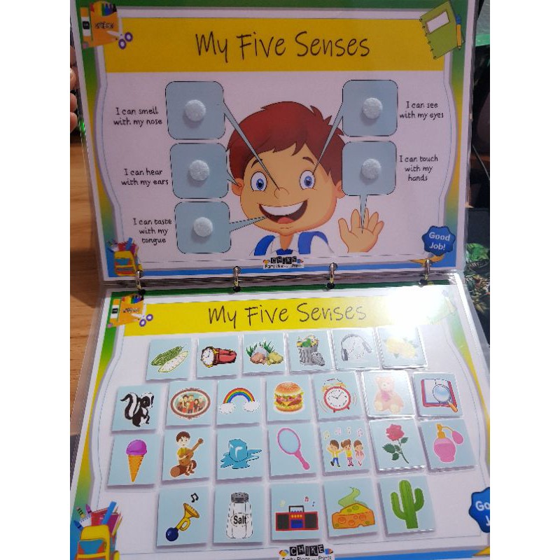 Five senses sorting laminated worksheet | Shopee Philippines Five senses sorting laminated worksheet | Shopee Philippines