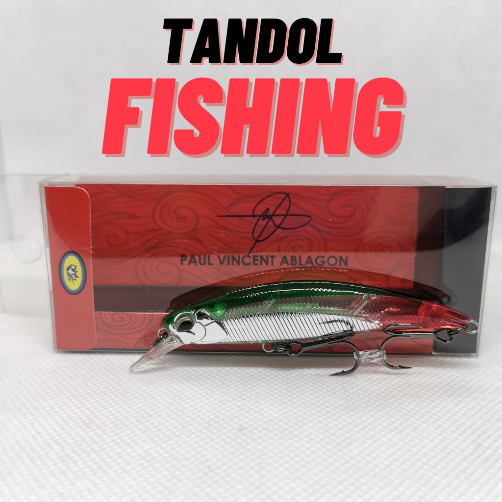 Tandol Fishing Lure 9g 70mm & 6g 60mm Sinking Minnow Lure | Shopee ...