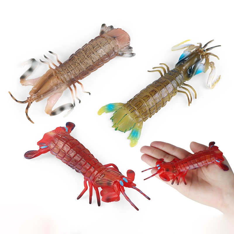 Prawn Toy Marine Animals Simulation Mantis Shrimp Spiral Shell Squilla ...
