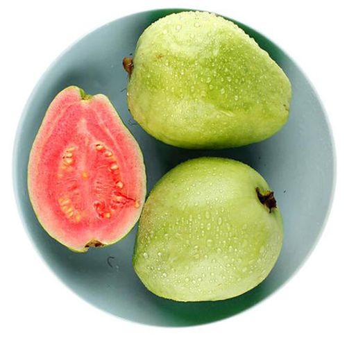 5 Mexican Guava FRUIT Seeds Yellow Rare Garden Organic Grow Sweet Tree ...
