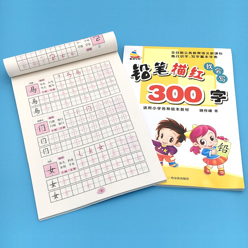 Writing Chinese Book 300/60 Basic Chinese Characters for Children ...