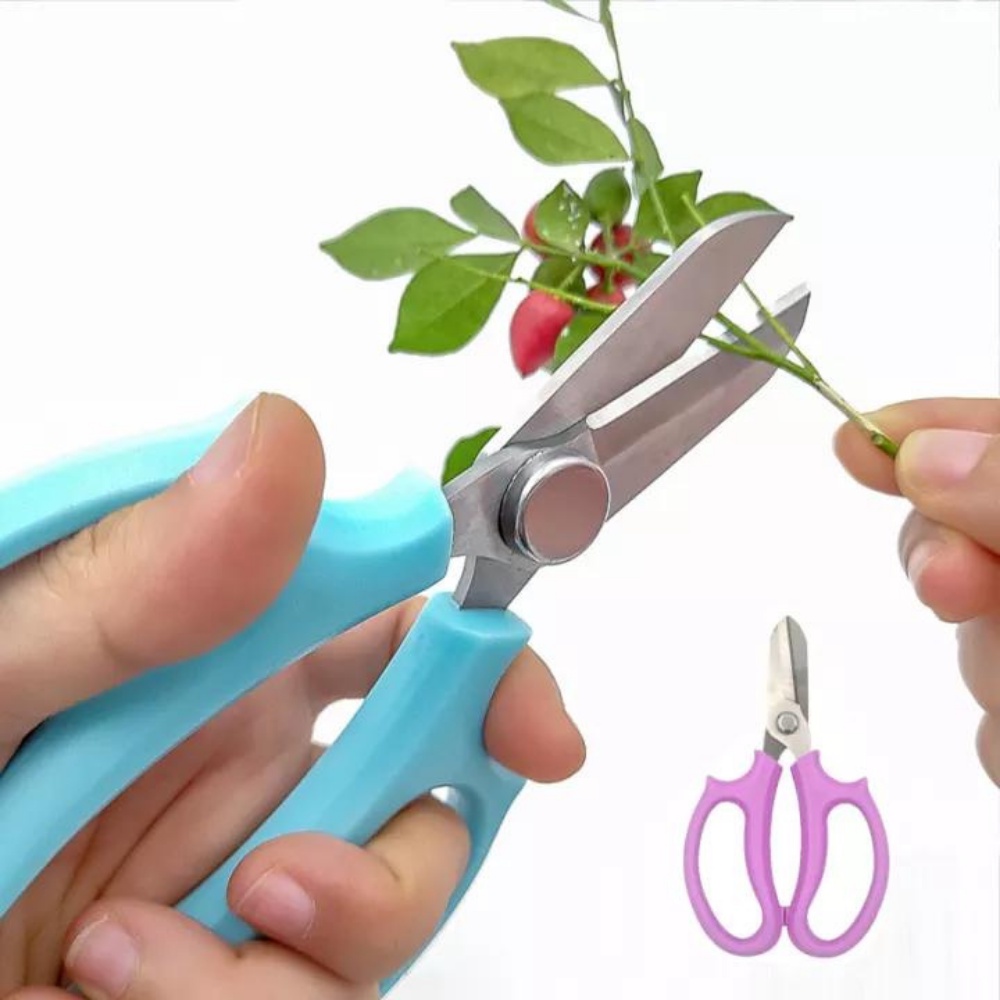 Specialized Branch Pruning and Flower Cutting Scissors (KEZ-001 ...