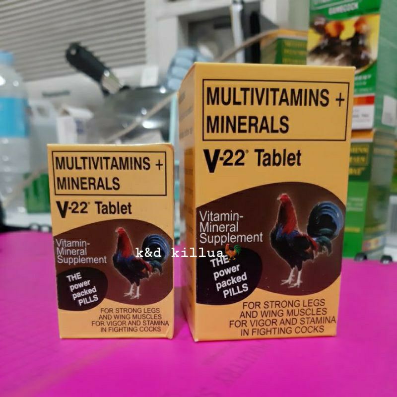 V22 TABLETS VITAMINS AND MINERALS (100/30 TABLETS) | Shopee Philippines