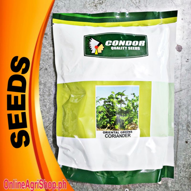 WANSOY CORIANDER SEEDS ORIENTAL GREENS (500 GRAMS) CONDOR SEEDS ...