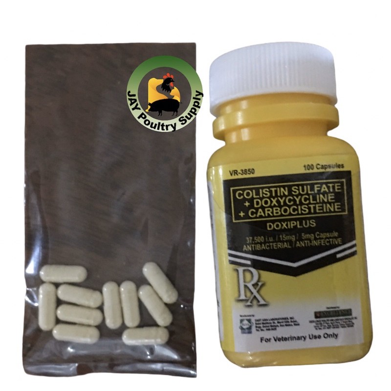 Excellence Rockdove Doxiplus Sold 10pcs doxi plus for pigeon birds ... Excellence Rockdove Doxiplus Sold 10pcs doxi plus for pigeon birds ...