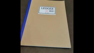 Veco Bir Bookkeeping Ledger Journal, Ledger, Cash, Record, Sales ...