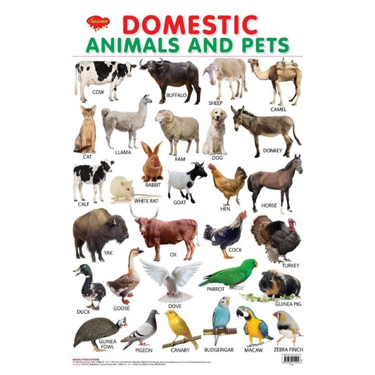 A4 ANIMALS LAMINATED WALL CHART FOR KIDS | Shopee Philippines