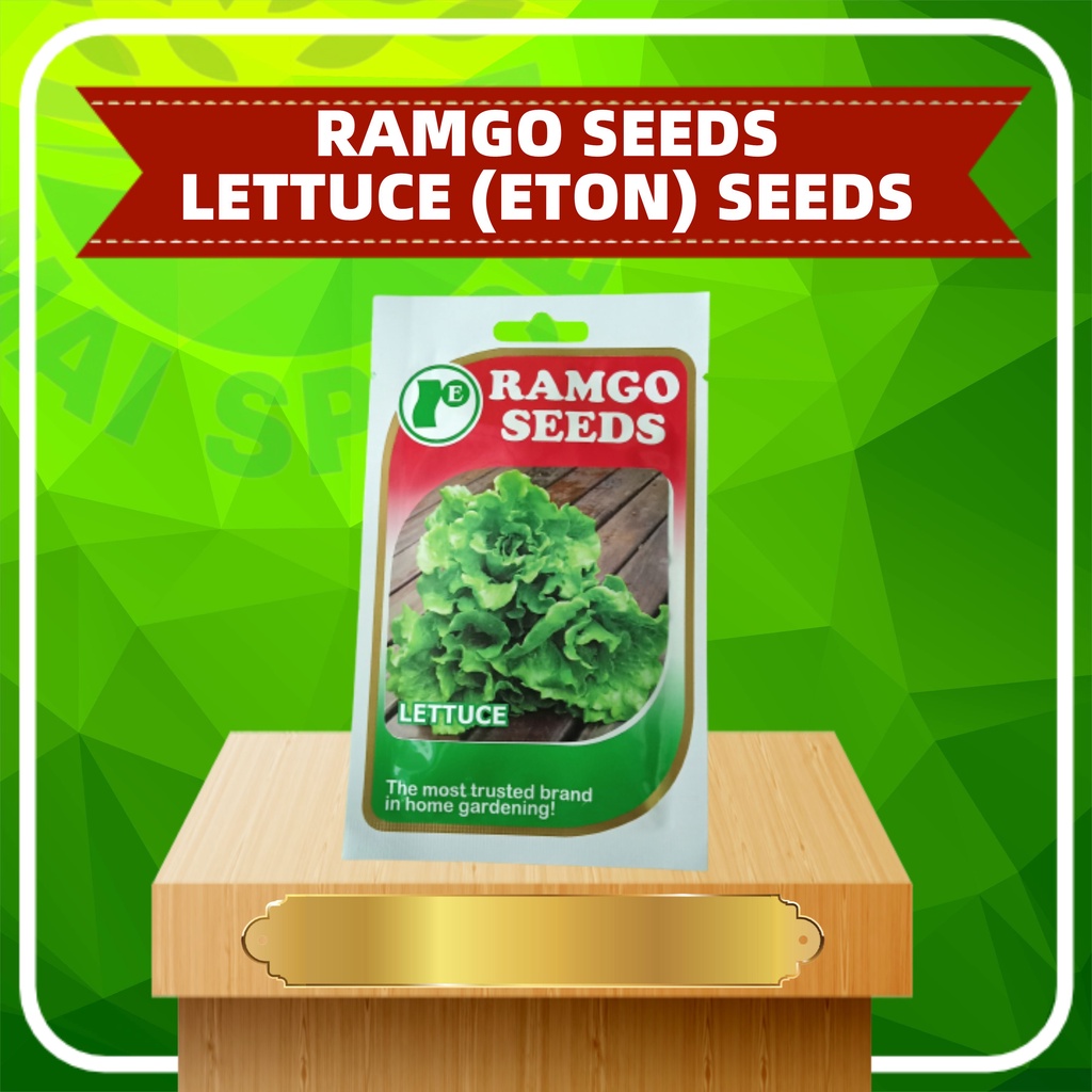 93% GERMINATION RATE - LETTUCE ETON SEEDS (RAMGO SEEDS) | Shopee ...