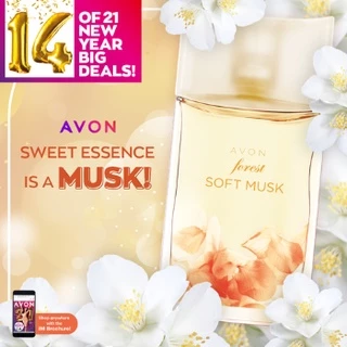 forest - Best Prices and Online Promos - Apr 2024 | Shopee Philippines