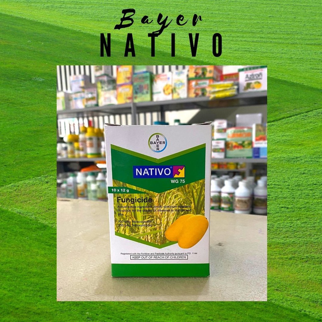 Bayer NATIVO WG 75 fungicide 10x12g | Shopee Philippines
