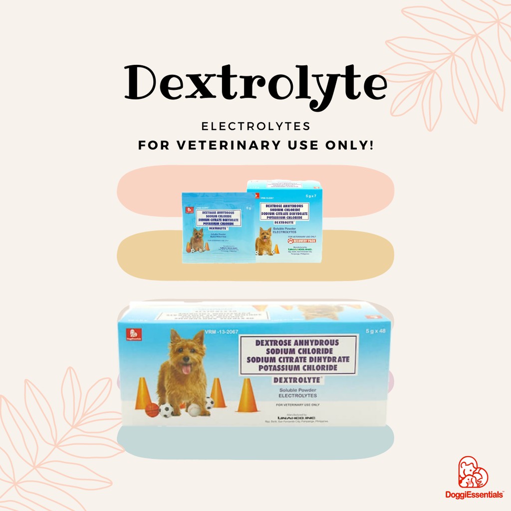 Dextrolyte 5g Sachet - Water Soluble Electrolyte For Dogs | Shopee ...