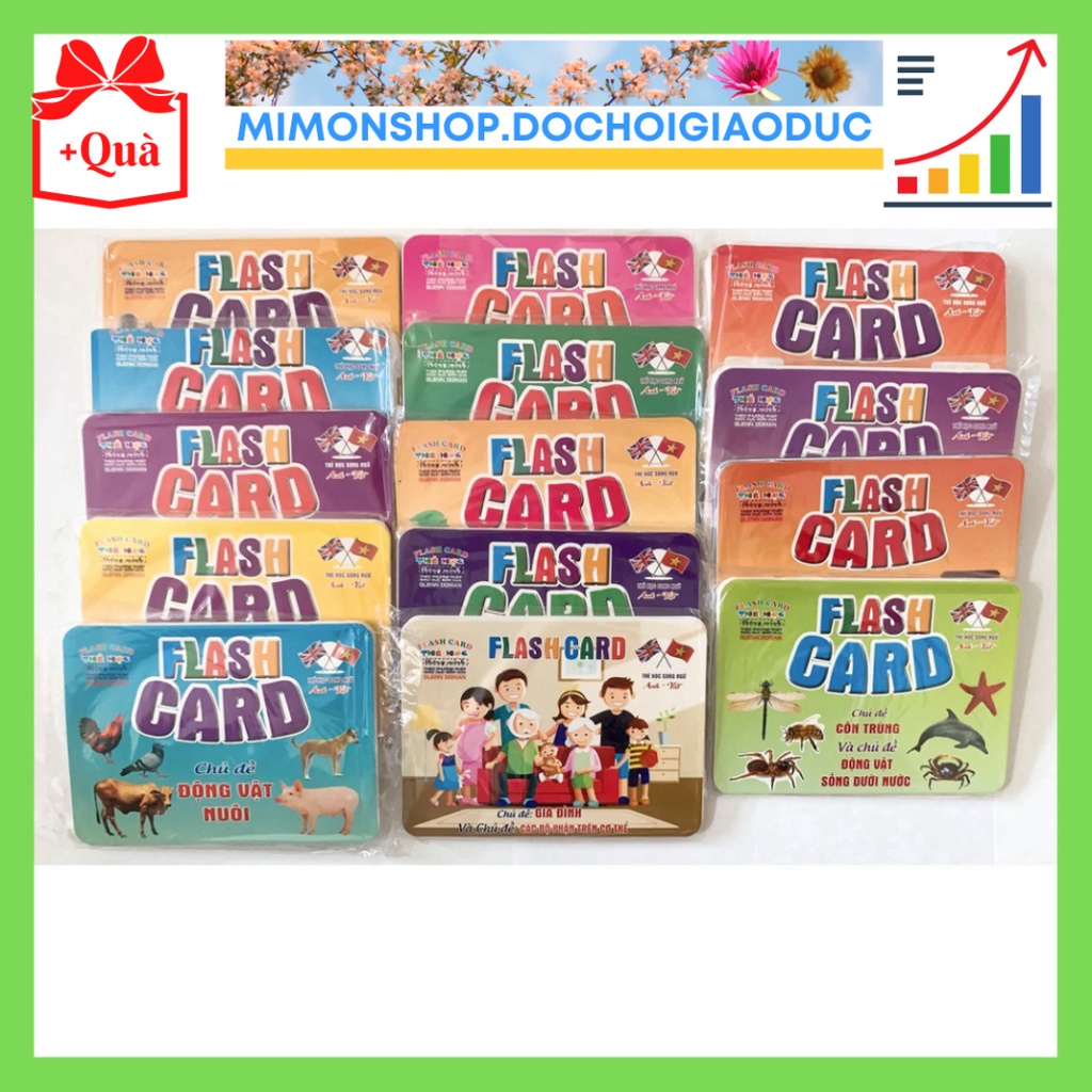 Smart Learning Card Set for Children with 19 Topics - Large Glenn Doman ...