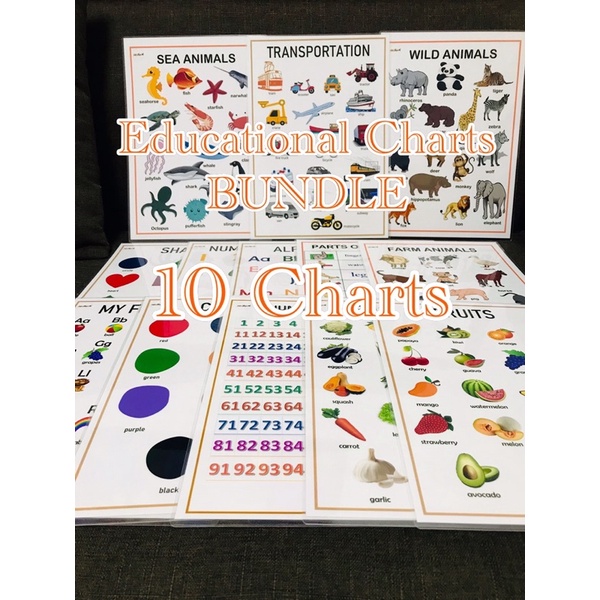 [BUNDLE] A4 Laminated Educational Charts for Toddlers 10PCS | Shopee ...