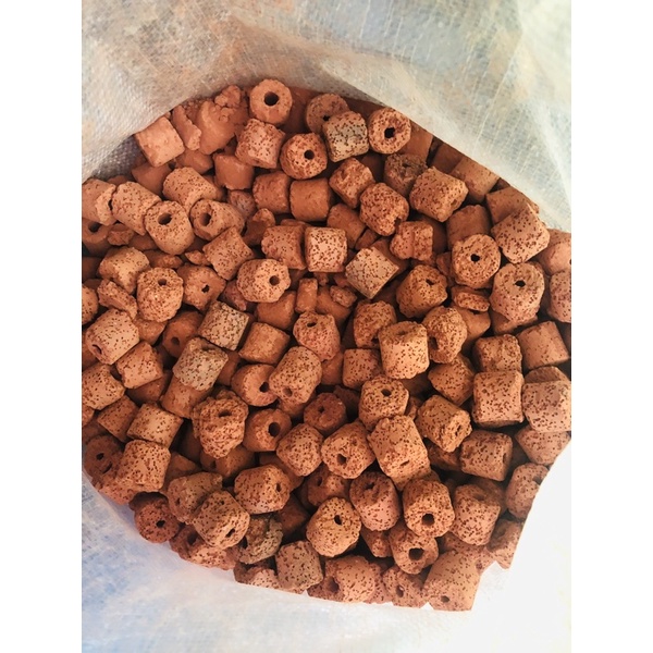 Lava Ring 250g (aquarium filter media) | Shopee Philippines