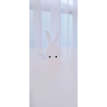 [Kyzen Living] Satin Spar rabbit (selenite gypsum) | Shopee Philippines
