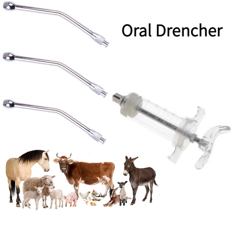 1/2/3Pcs Oral drencher Stainless steel Oral drencher nozzle for piglets ...