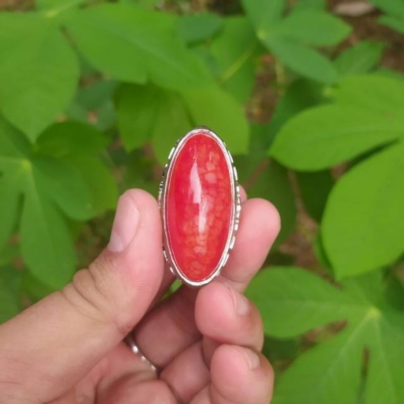 MERAH Red Dragon Scale Agate Ring (N) | Shopee Philippines