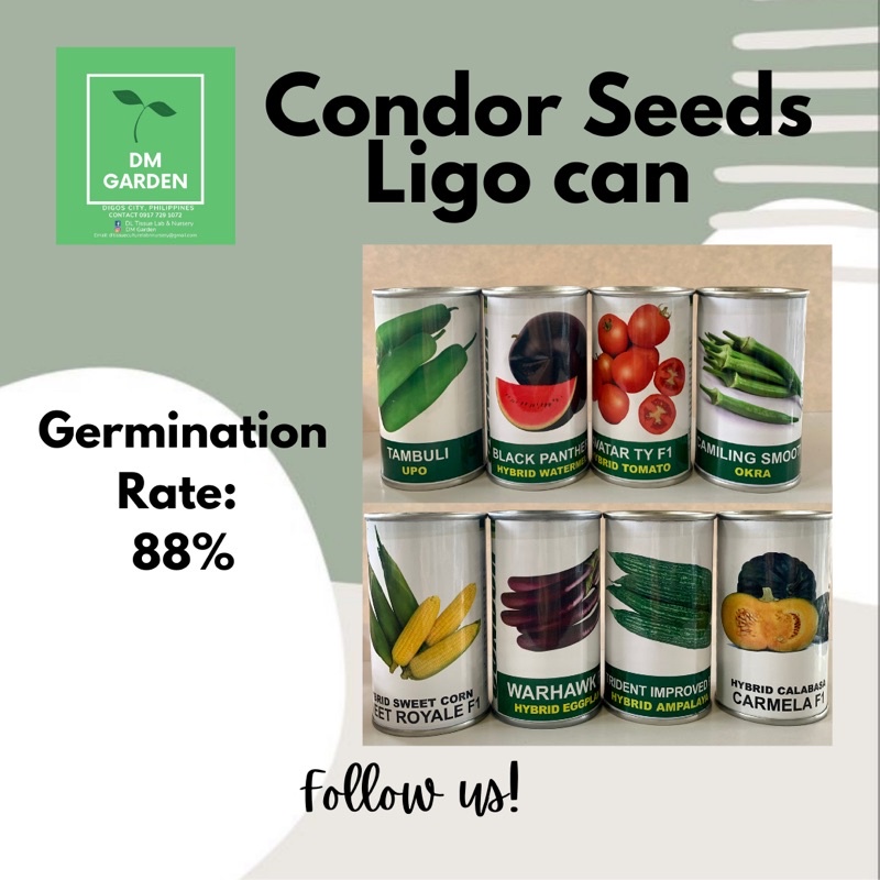 Condor Seeds Junior Can (Veggies) | Shopee Philippines