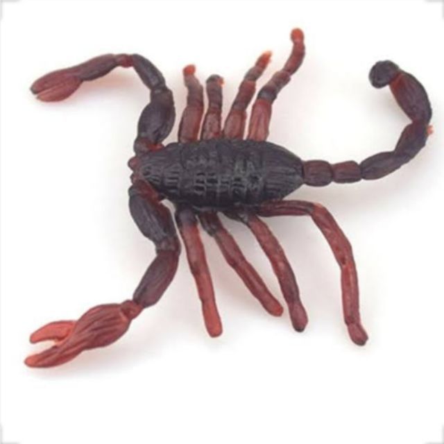 Scorpion toy prank scorpion 5 pcs | Shopee Philippines