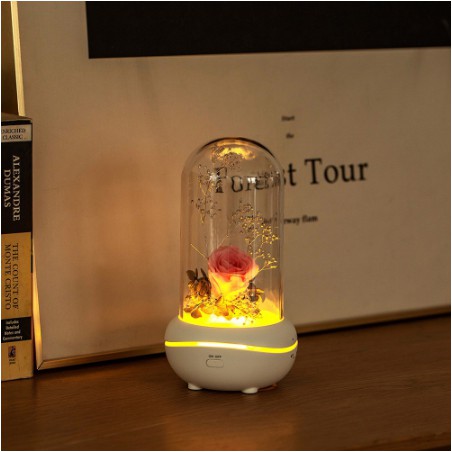 Everlasting Flower Aromatherapy Colorful Lights LED Night Light Home ...