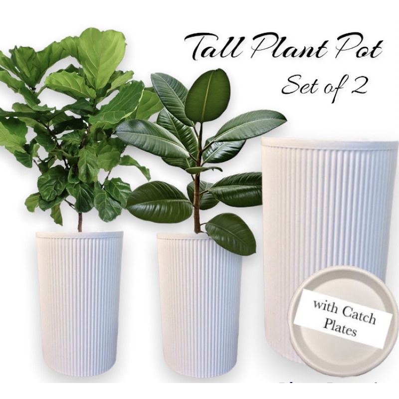 2pcs TALL Round white quality Plantpot for indoor and outdoor use house ...